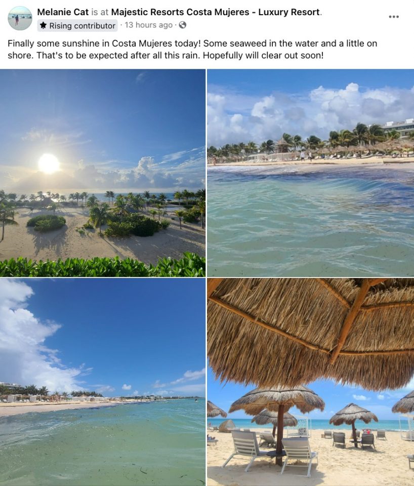 Mexico's Sargassum Seaweed Season 2025 (Maps, Forecast, Reports)