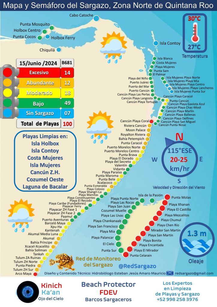 Mexico's Sargassum Seaweed Season 2024 (Maps, Forecast, Reports)