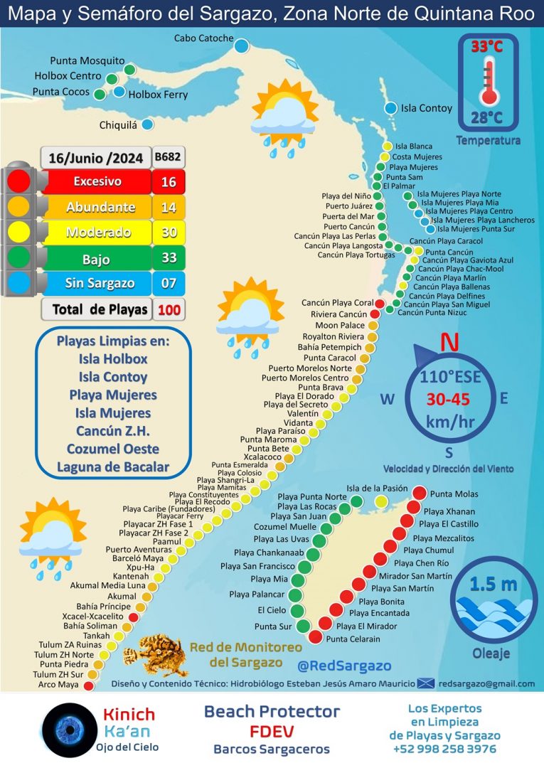 Mexico's Sargassum Seaweed Season 2024 (Maps, Forecast, Reports)