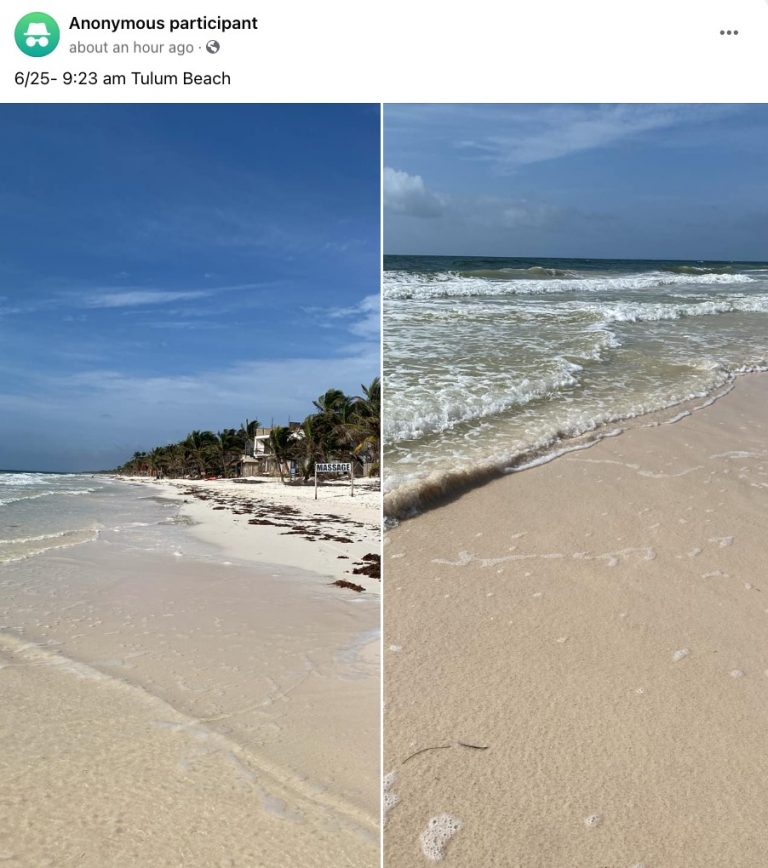 Mexico's Sargassum Seaweed Season 2025 (Maps, Forecast, Reports)