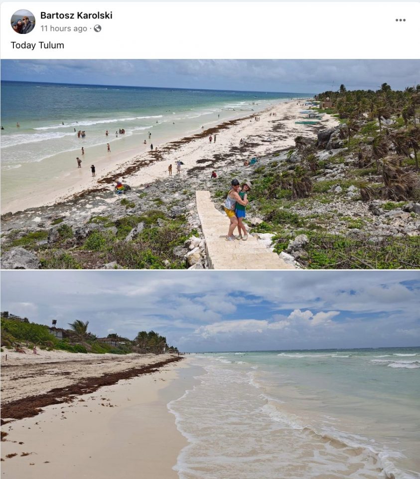 Mexico's Sargassum Seaweed Season 2024 (Maps, Forecast, Reports)
