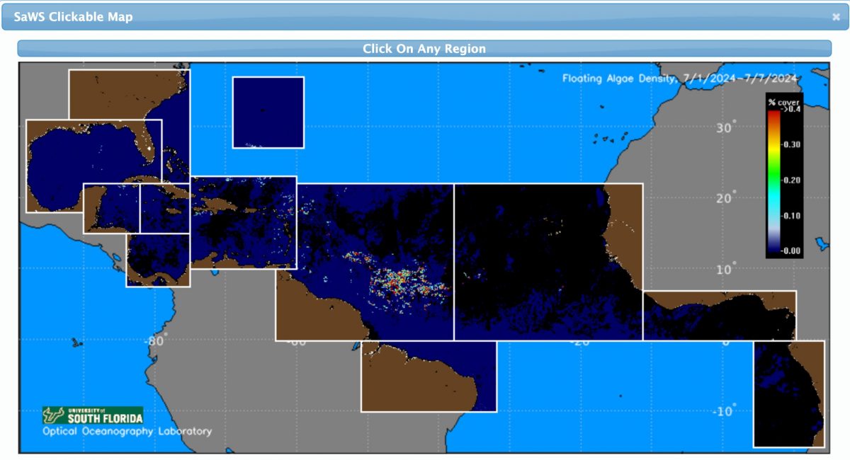 Florida Sargassum Seaweed Season 2024 (Report, Maps, Forecast)
