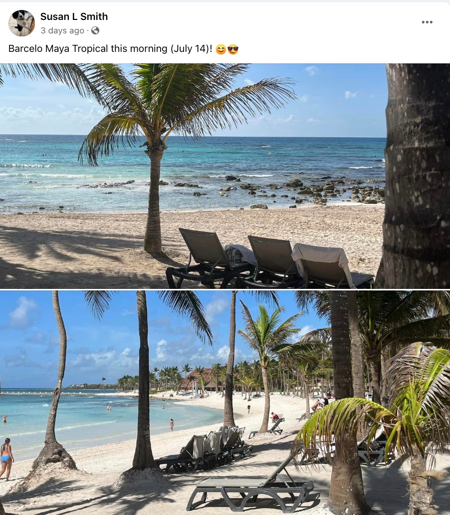 Mexico's Sargassum Seaweed Season 2024 (Maps, Forecast, Reports)