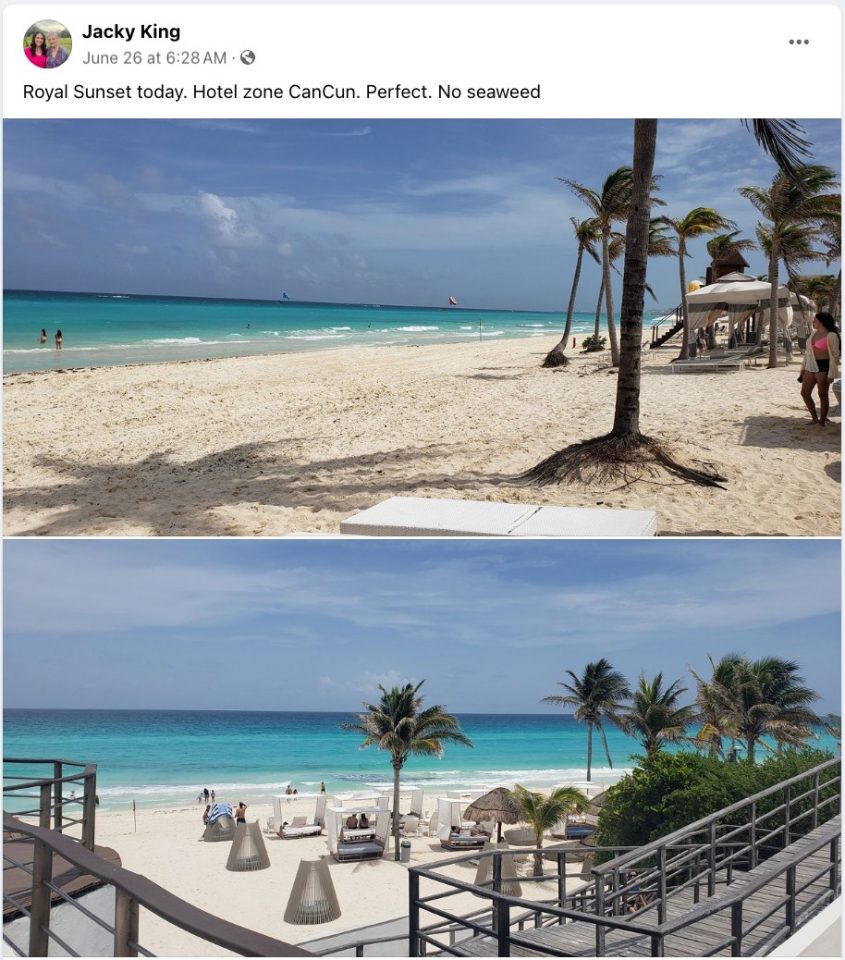 Mexico's Sargassum Seaweed Season 2024 (Maps, Forecast, Reports)