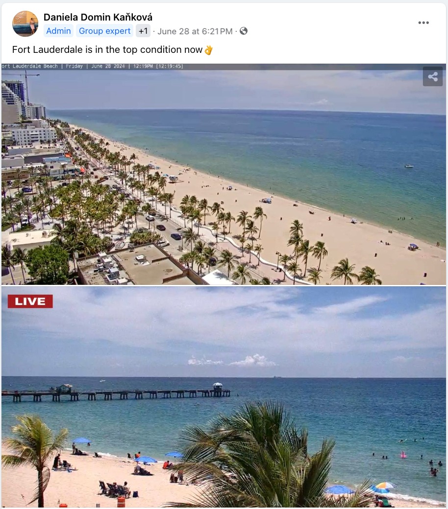 Florida Sargassum Seaweed Season 2024 (Report, Maps, Forecast)