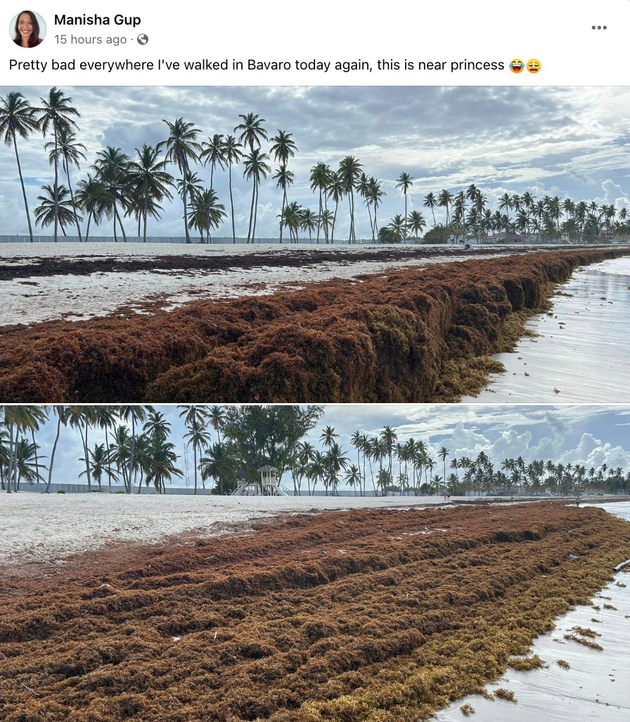 Dominican Republic Sargassum Seaweed Season 2024 (Report, Maps ...