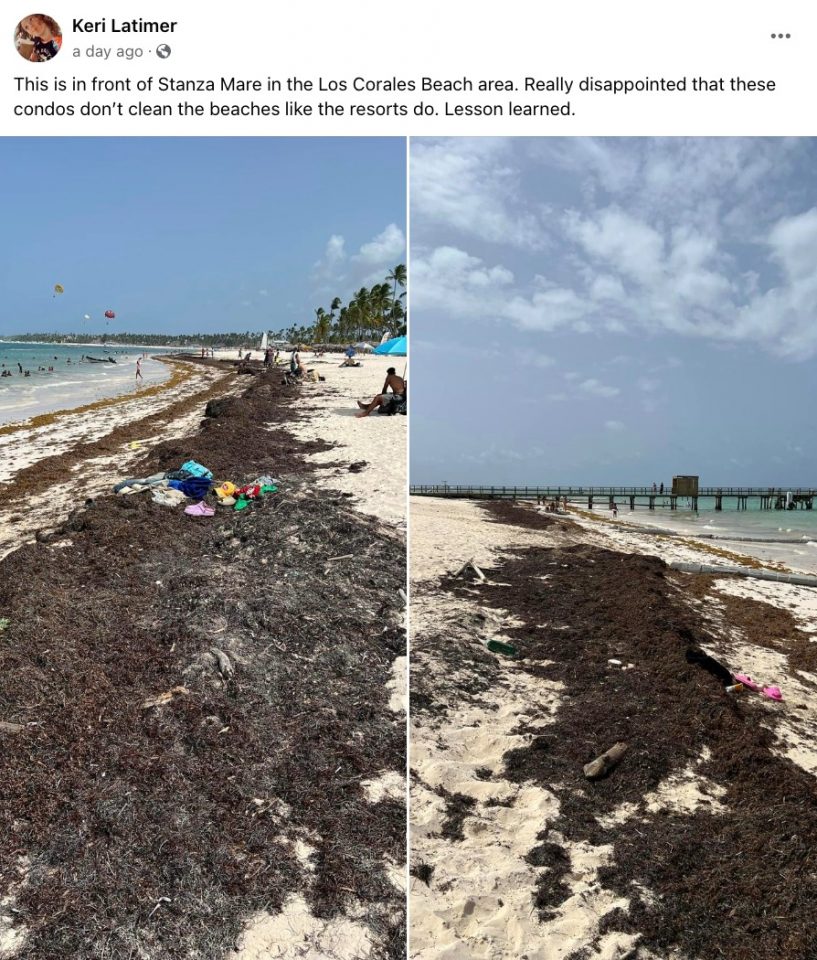 Dominican Republic Sargassum Seaweed Season 2024 (Report, Maps ...