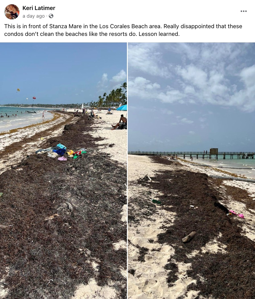 Dominican Republic Sargassum Seaweed Season 2024 (Report, Maps ...