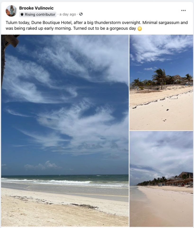 Mexico's Sargassum Seaweed Season 2025 (Maps, Forecast, Reports)