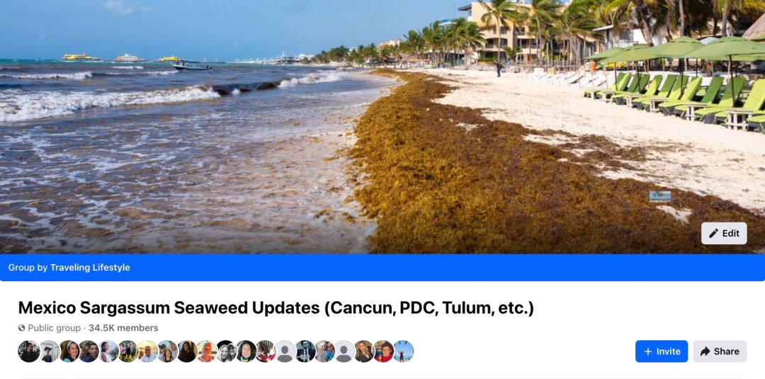 Mexico Sargassum Season 2025: Maps, Forecast, Cancun, Tulum, etc.