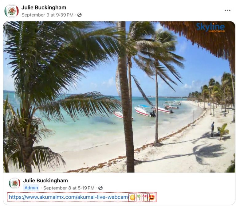 Mexico Sargassum Season 2025: Maps, Forecast, Cancun, Tulum, etc.