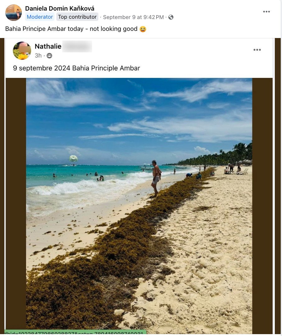 Dominican Republic Sargassum Seaweed Season 2024 (Report, Maps ...