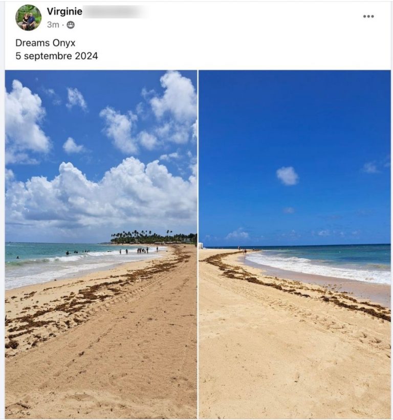 Dominican Republic Sargassum Seaweed Season 2024 (Report, Maps ...