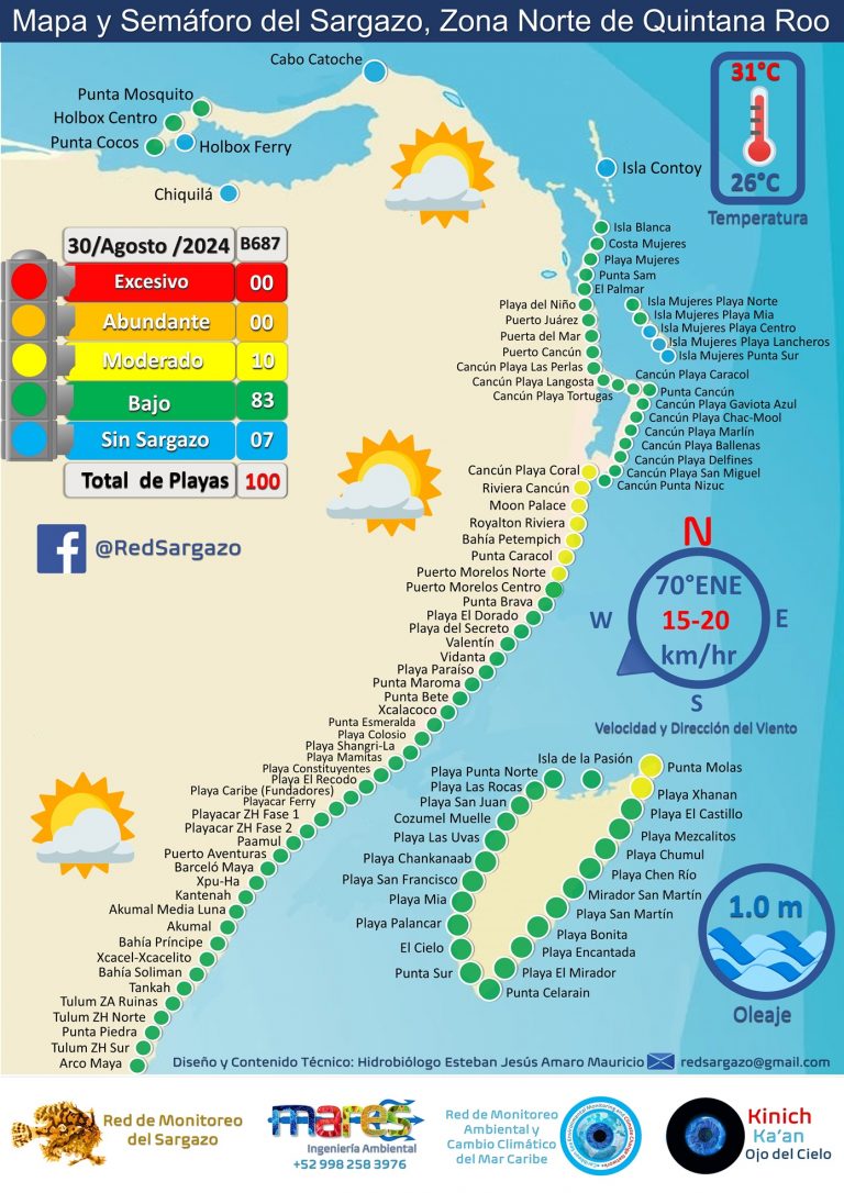 Mexico's Sargassum Seaweed Season 2024 (Maps, Forecast, Reports)