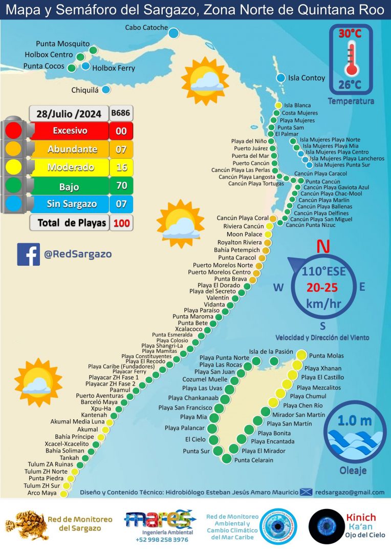 Mexico's Sargassum Seaweed Season 2024 (Maps, Forecast, Reports)