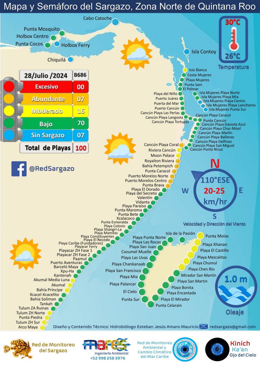 Mexico's Sargassum Seaweed Season 2024 (Maps, Forecast, Reports)
