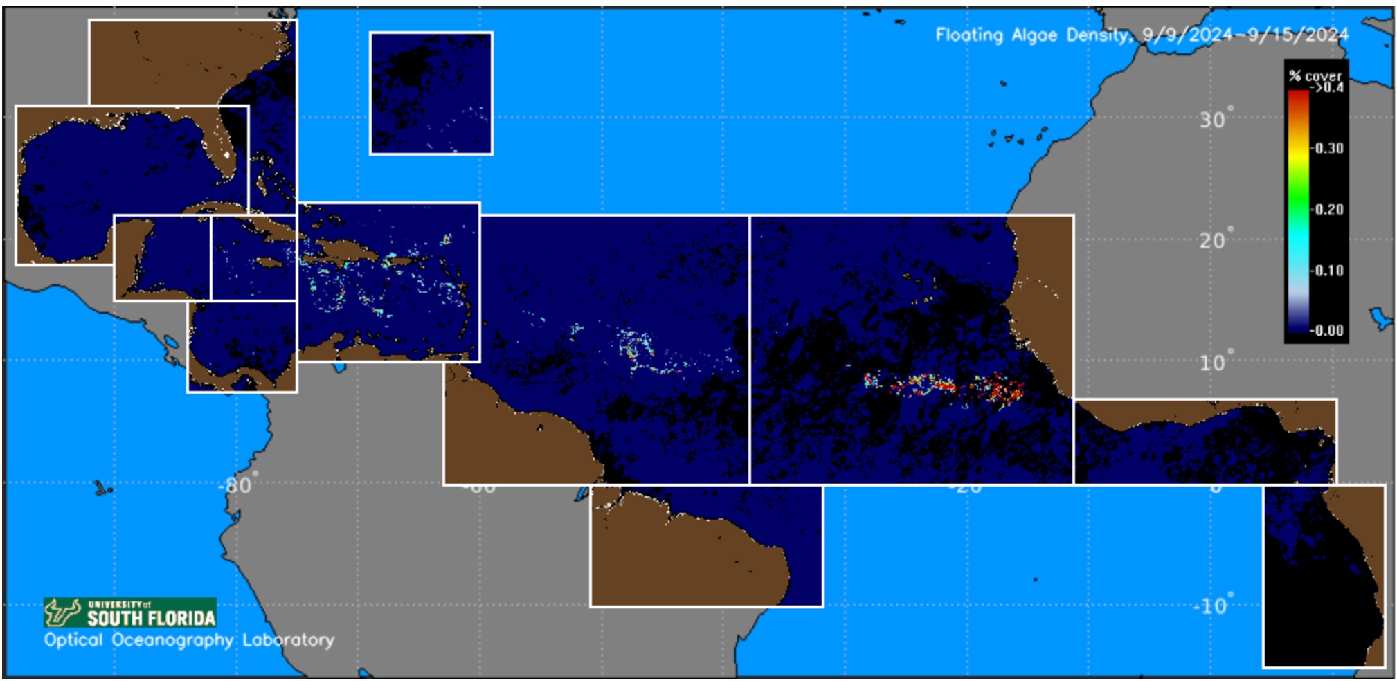 Dominican Republic Sargassum Seaweed Season 2024 (Report, Maps ...