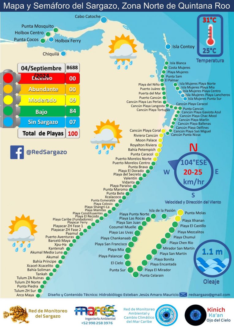 Mexico's Sargassum Seaweed Season 2024 (Maps, Forecast, Reports)