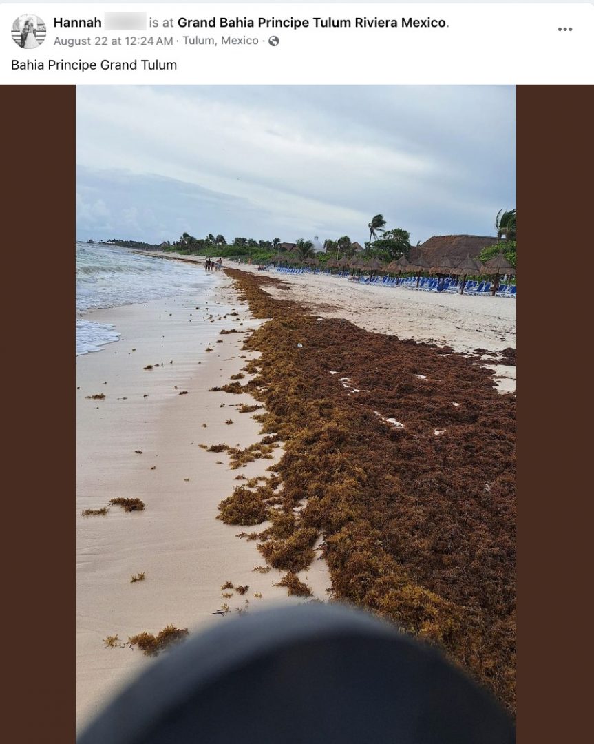 Mexico Sargassum Season 2025: Maps, Forecast, Cancun, Tulum, etc.