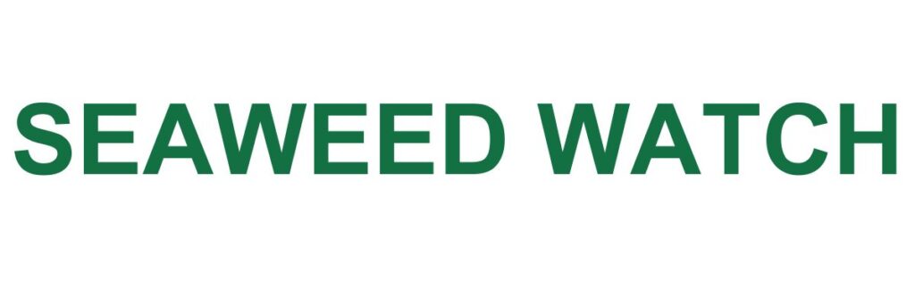 Mexico's Sargassum Seaweed Season 2025 (Maps, Forecast, Reports)