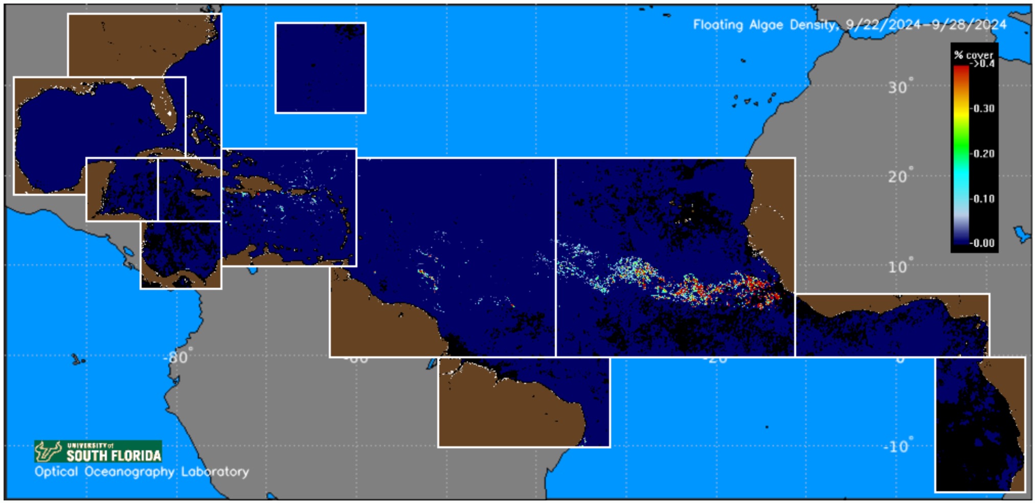 Florida Sargassum Seaweed Season 2024 (Report, Maps, Forecast)