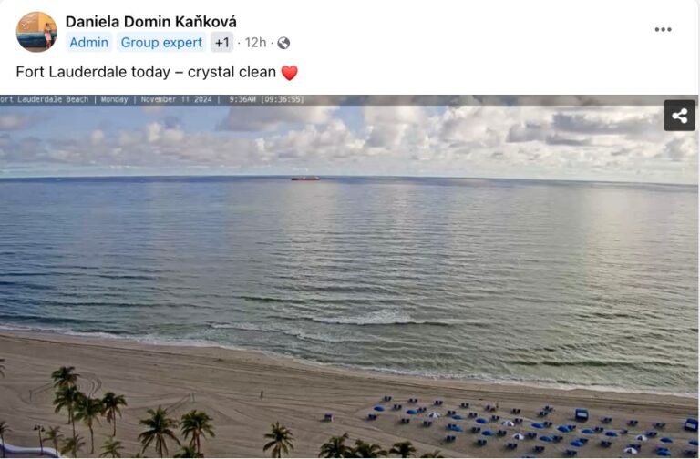 Florida Sargassum Seaweed Season 2024 (Report, Maps, Forecast)
