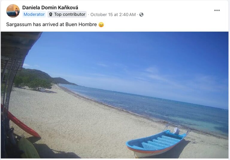 Dominican Republic Sargassum Seaweed Season 2024 (Report, Maps ...