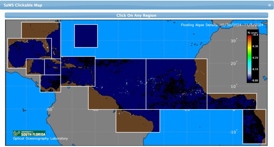 Dominican Republic Sargassum Seaweed Season 2024 (Report, Maps ...