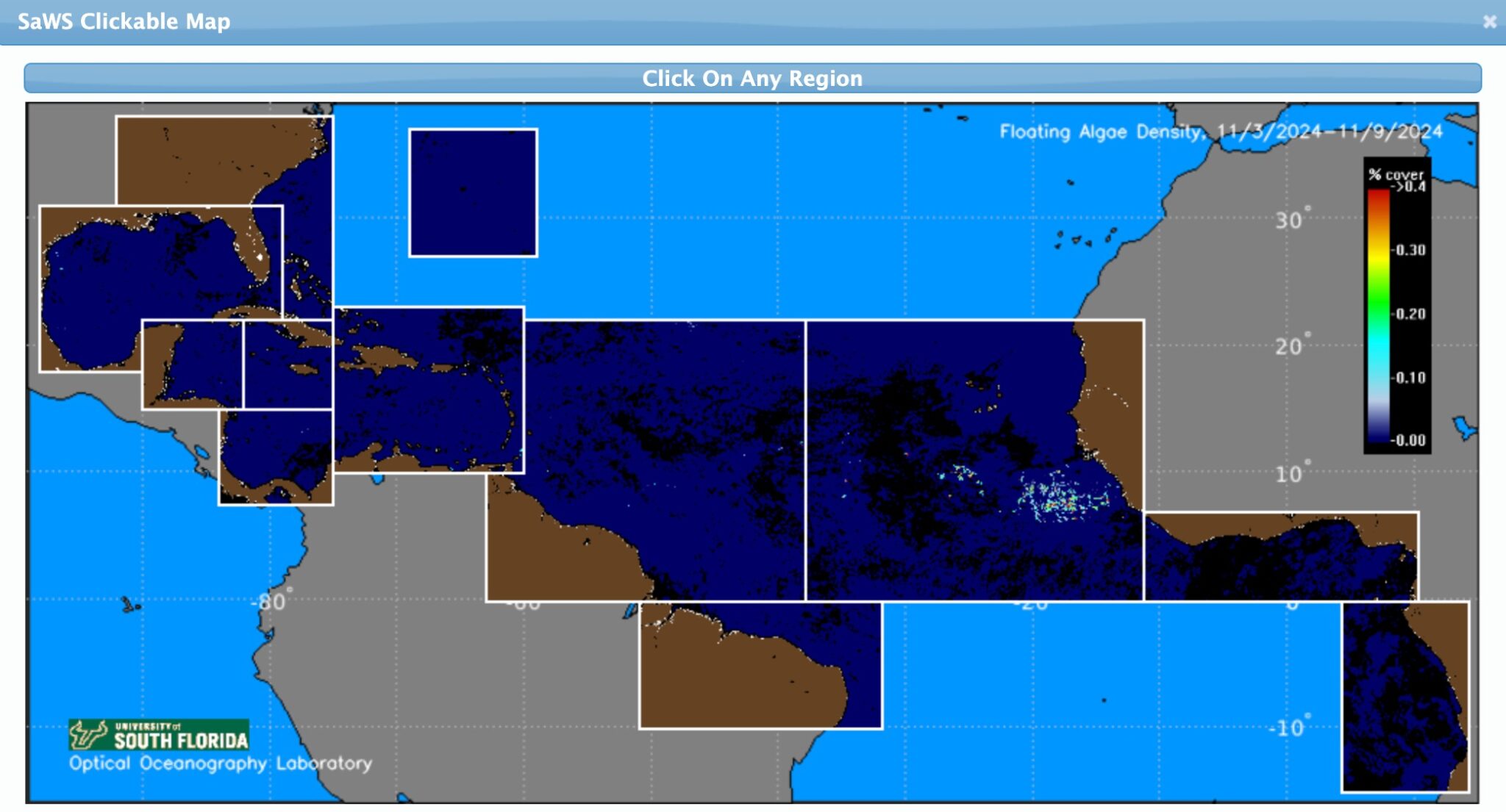 Florida Sargassum Seaweed Season 2024 (Report, Maps, Forecast)