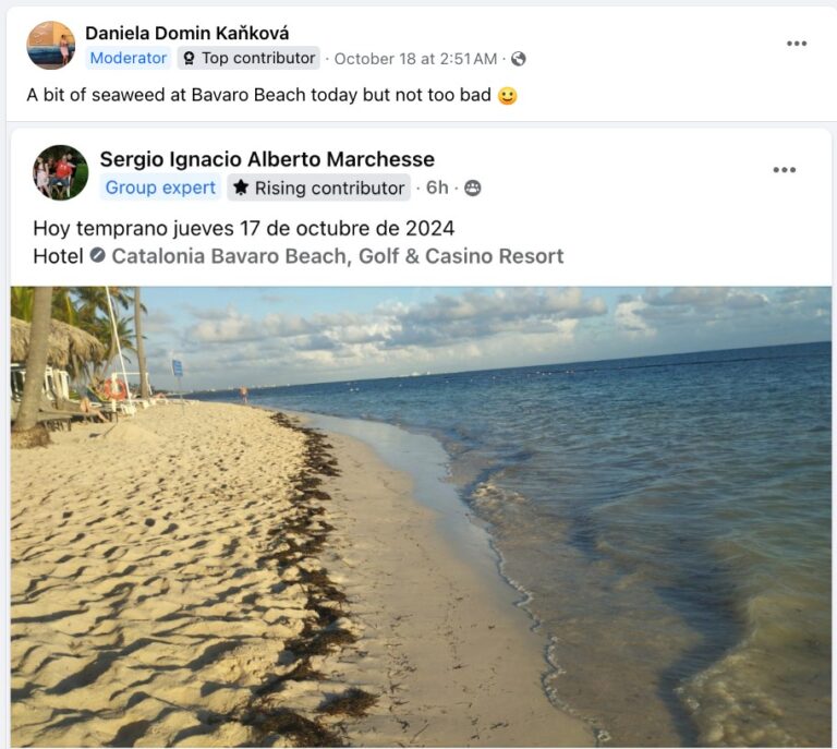 Dominican Republic Sargassum Seaweed Season 2024 (Report, Maps ...