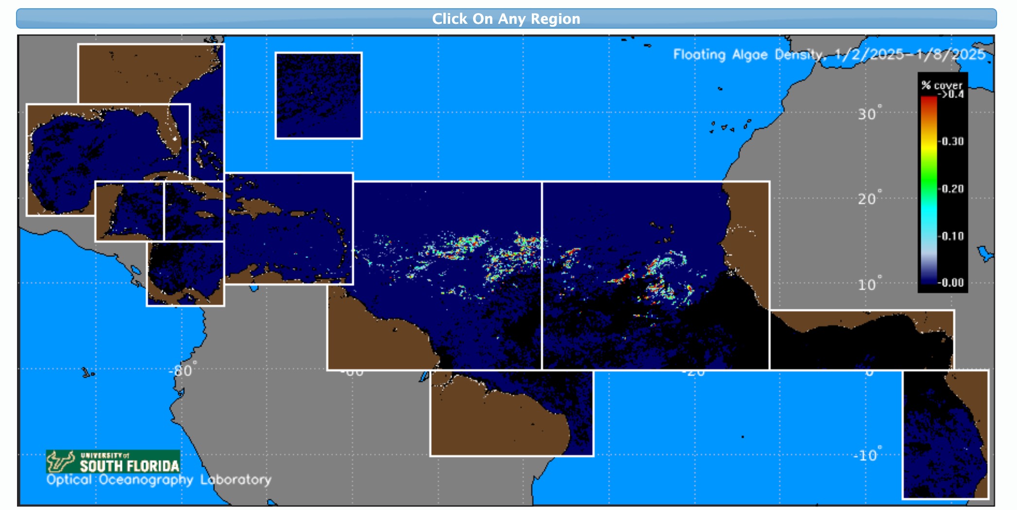 Mexico Sargassum Season 2025: Maps, Forecast, Cancun, Tulum, etc.